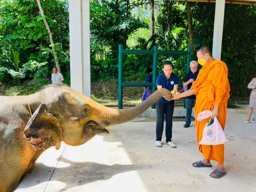 Buddhist Monk Blessing - Southern Thailand Elephant Foundation